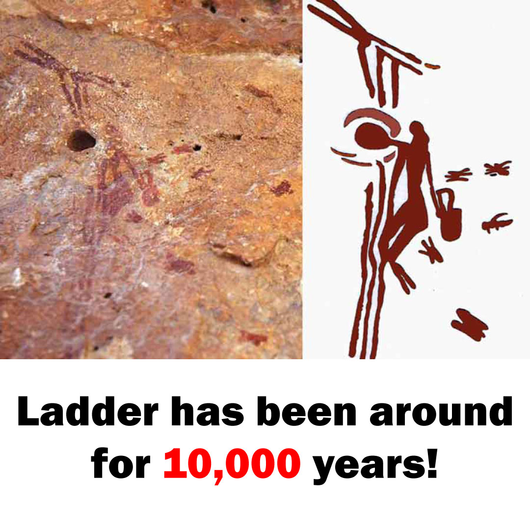 Fun Facts about Ladders
