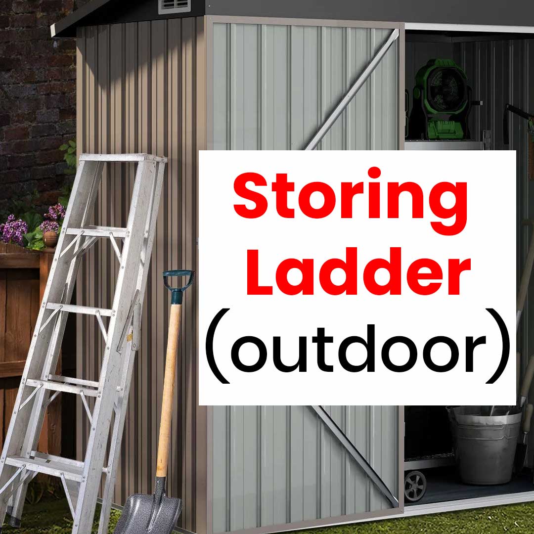 How to Store Your Ladder for a Longer Life Shell?