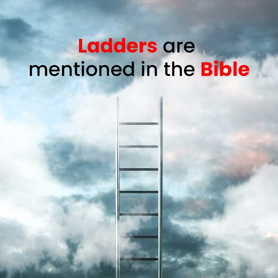 Fun Facts about Ladders