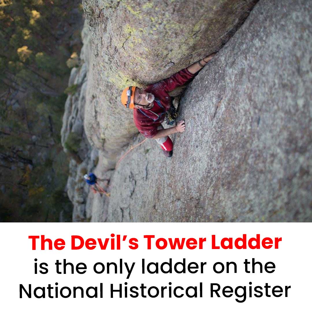 Fun Facts about Ladders