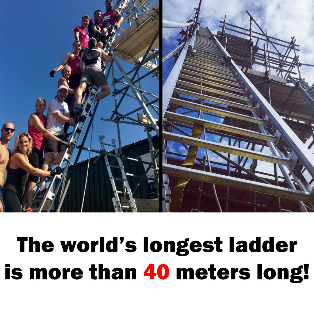Fun Facts about Ladders